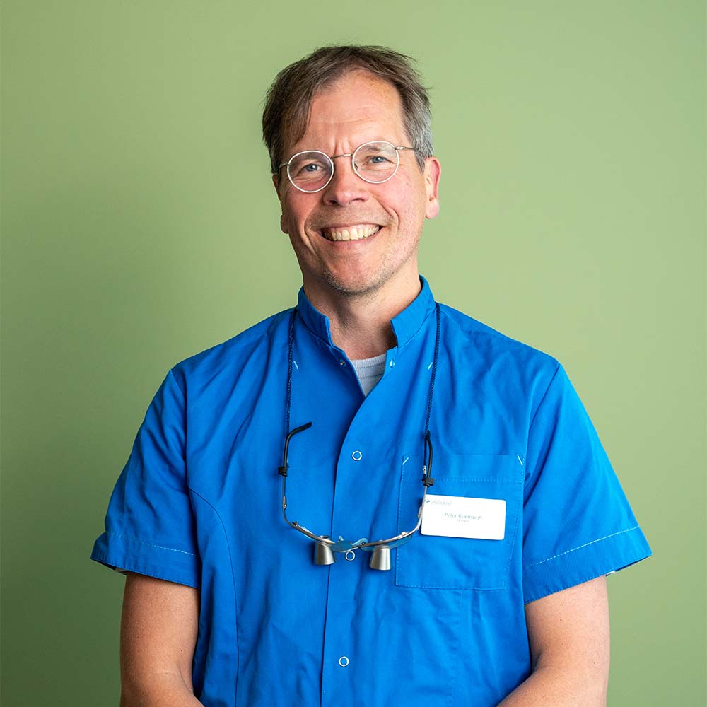 Peter Koelewijn - ACTA Dental Education